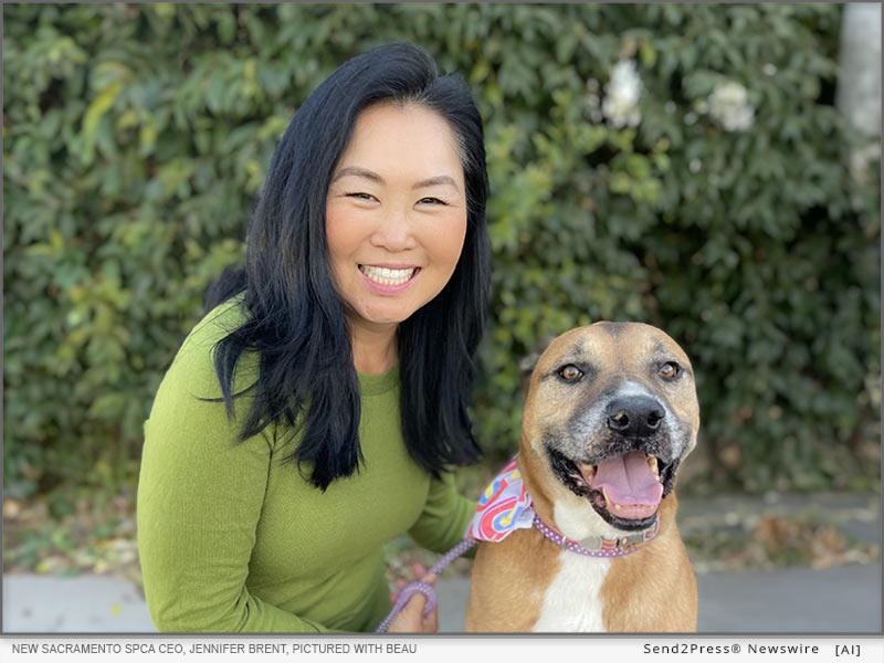 The Sacramento SPCA Welcomes Jennifer Brent as the New Chief Executive ...